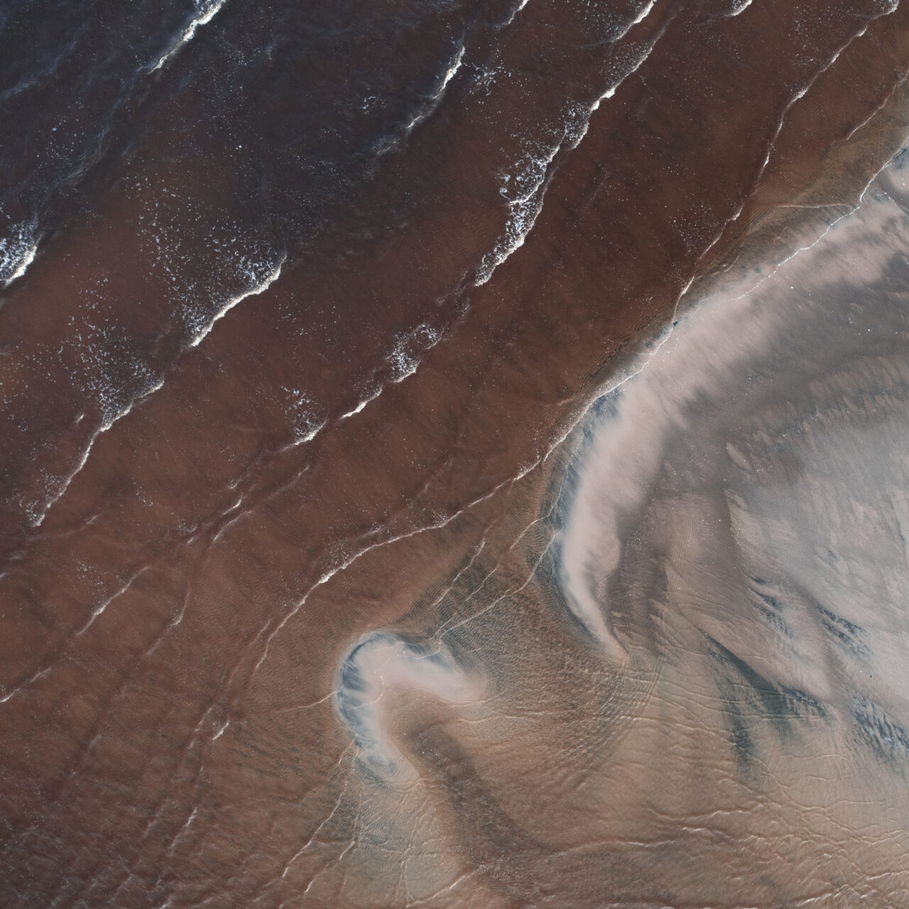 Discover Quarken - Quarken